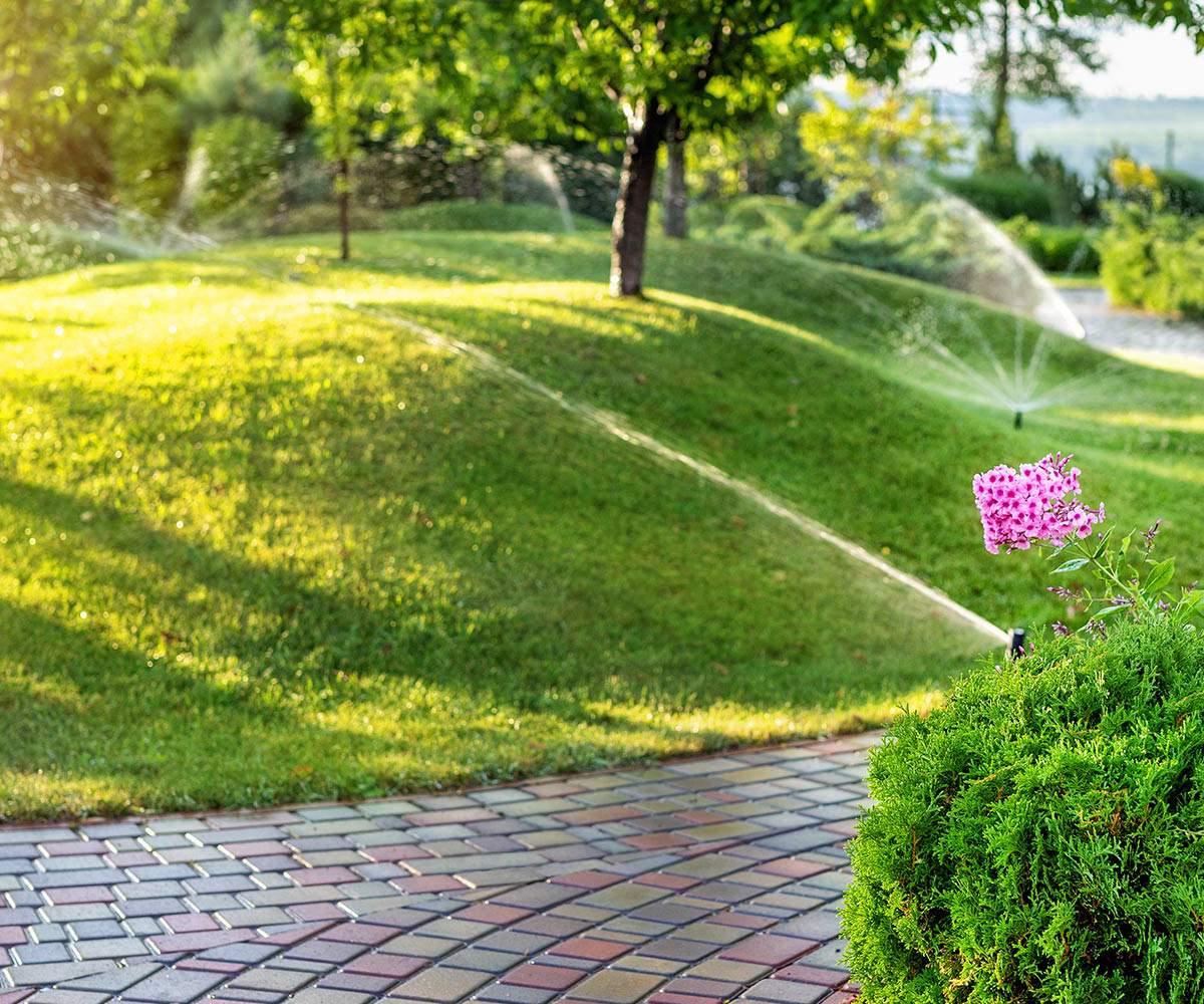 Paysagiste création de jardin | Thierry Paquet | Villers-Semeuse