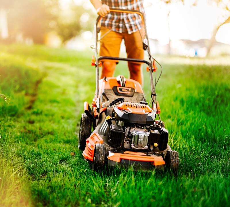 Paysagiste création de jardin | Thierry Paquet | Villers-Semeuse